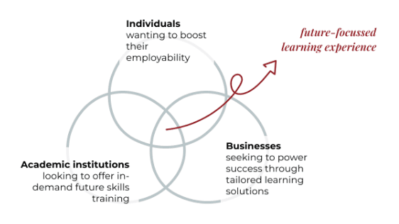 About Skillup Online